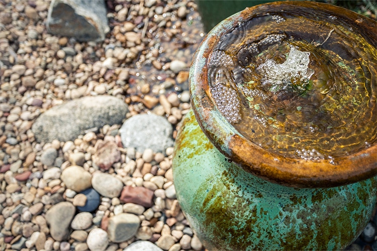 Fall Visit to Skyline Drive - J and S Landscape